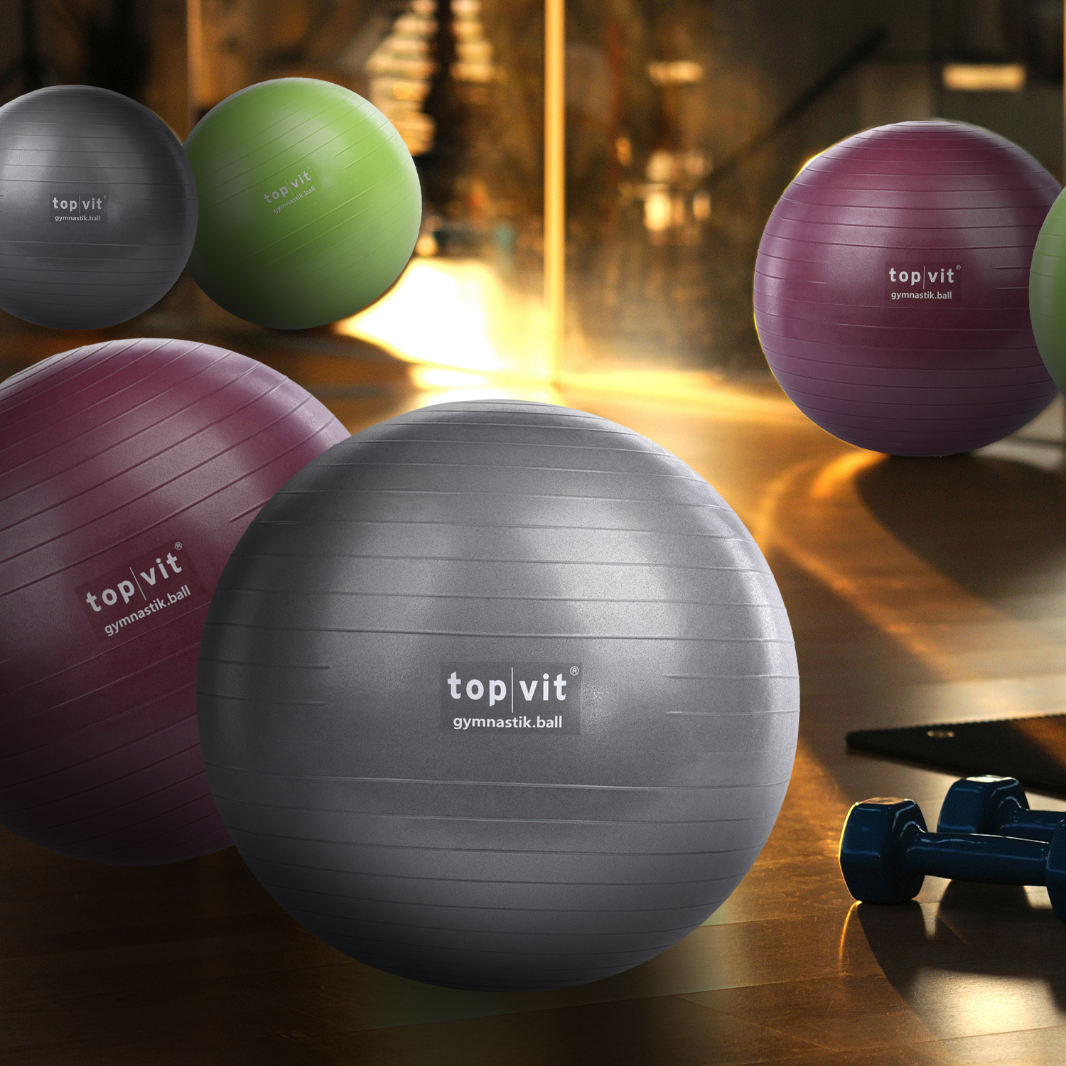 top | vit® gymnastic.ball